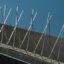 Bird Spikes – Bird Barrier