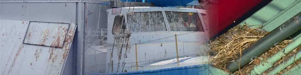 Damage Caused by Birds – Bird Barrier