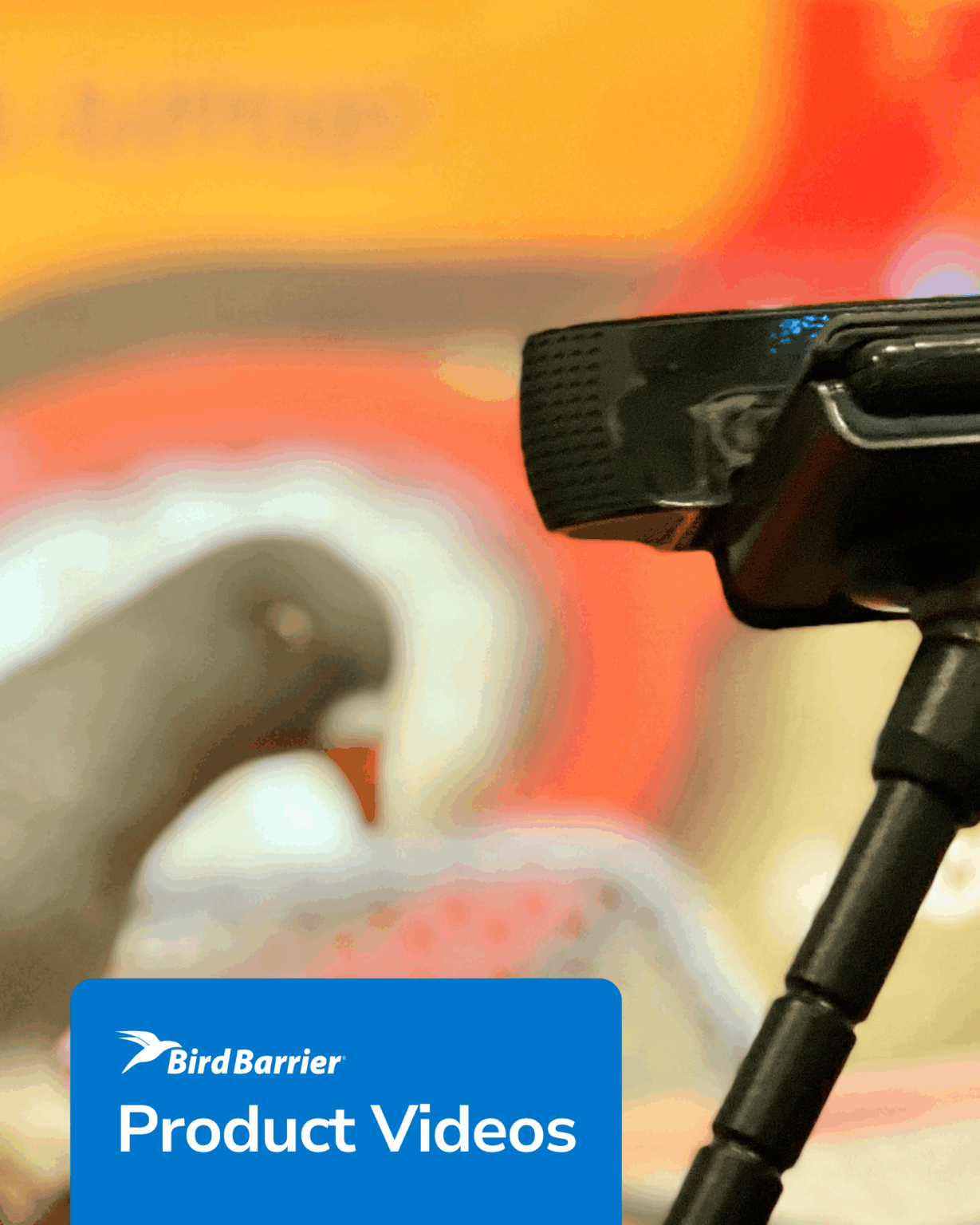 Safe Haven Landing Page – Bird Barrier