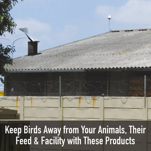 Birdwire® – Bird Barrier