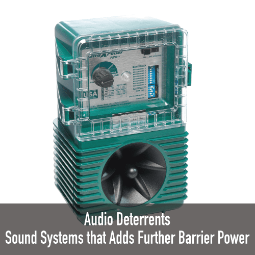 Mist Net Kits – Bird Barrier