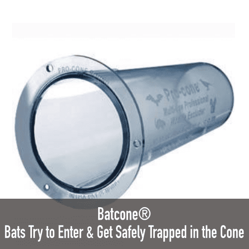 Raven Control – Bird Barrier