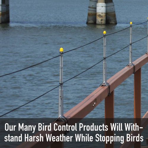 Bird Barrier – Bird Control Products for Pigeons, Woodpeckers & More