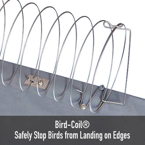 Birdwire® – Bird Barrier