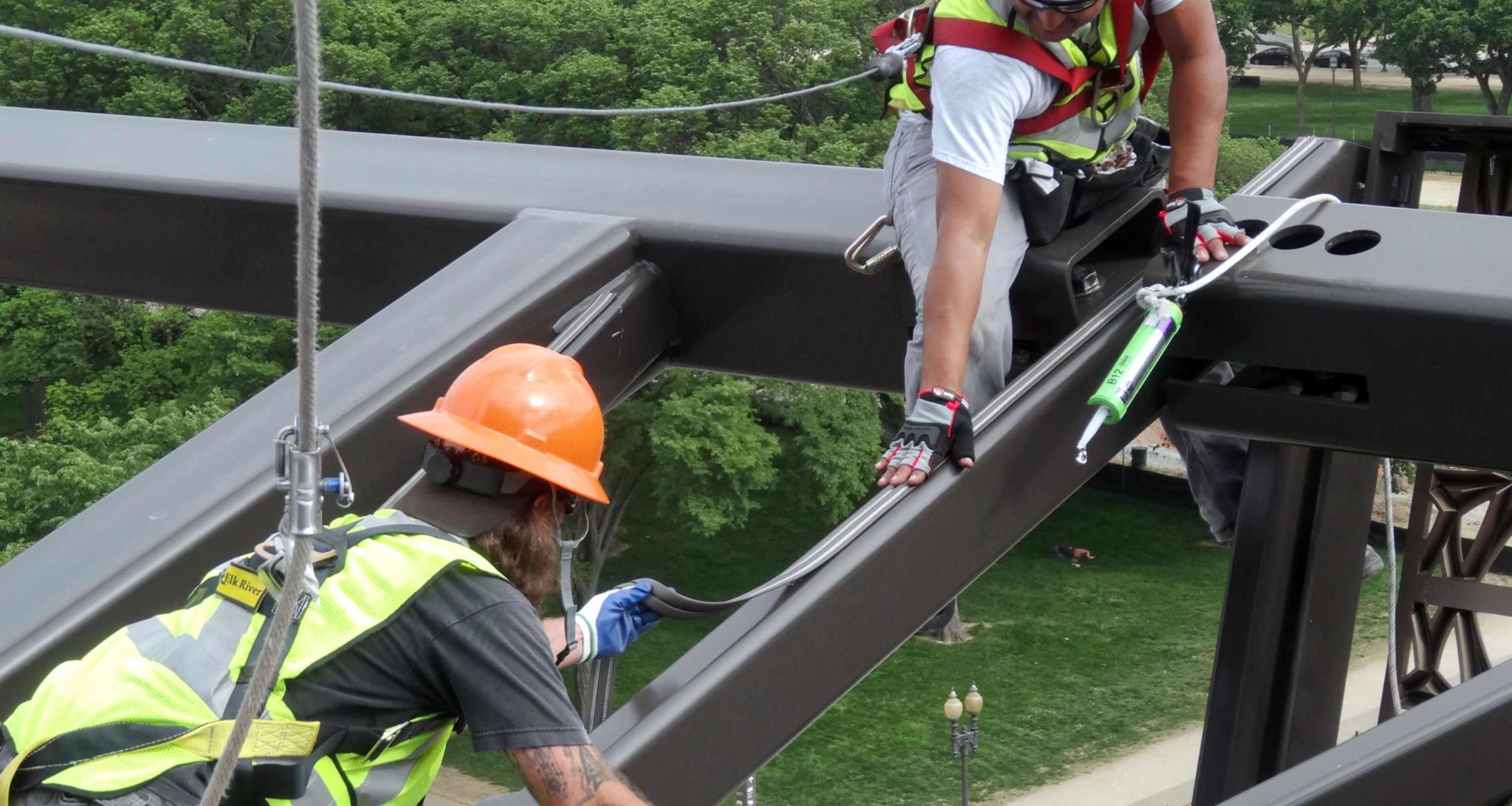 Birdbarrier 🐦 Bird Barrier