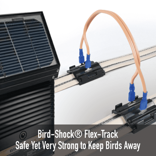 Mist Net Kits – Bird Barrier