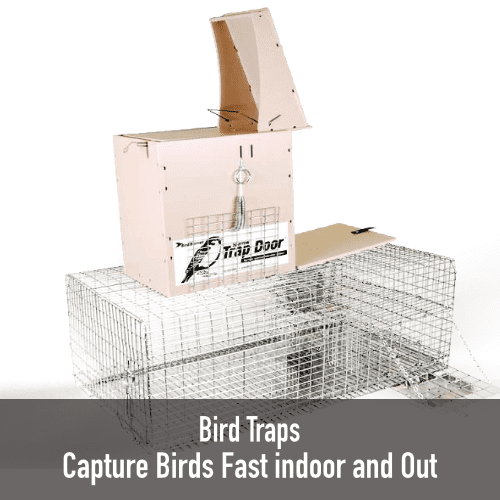 Mist Net Kits – Bird Barrier
