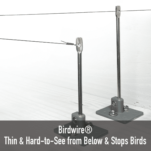 Bird Barrier – Bird Control Products for Pigeons, Woodpeckers & More