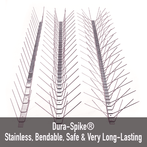 Dura-Spike® – Bird Barrier