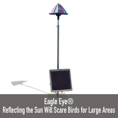 Visual Deterrents – Bird Barrier
