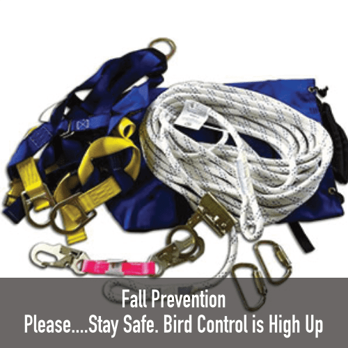 Bird Barrier – Bird Control Products for Pigeons, Woodpeckers & More