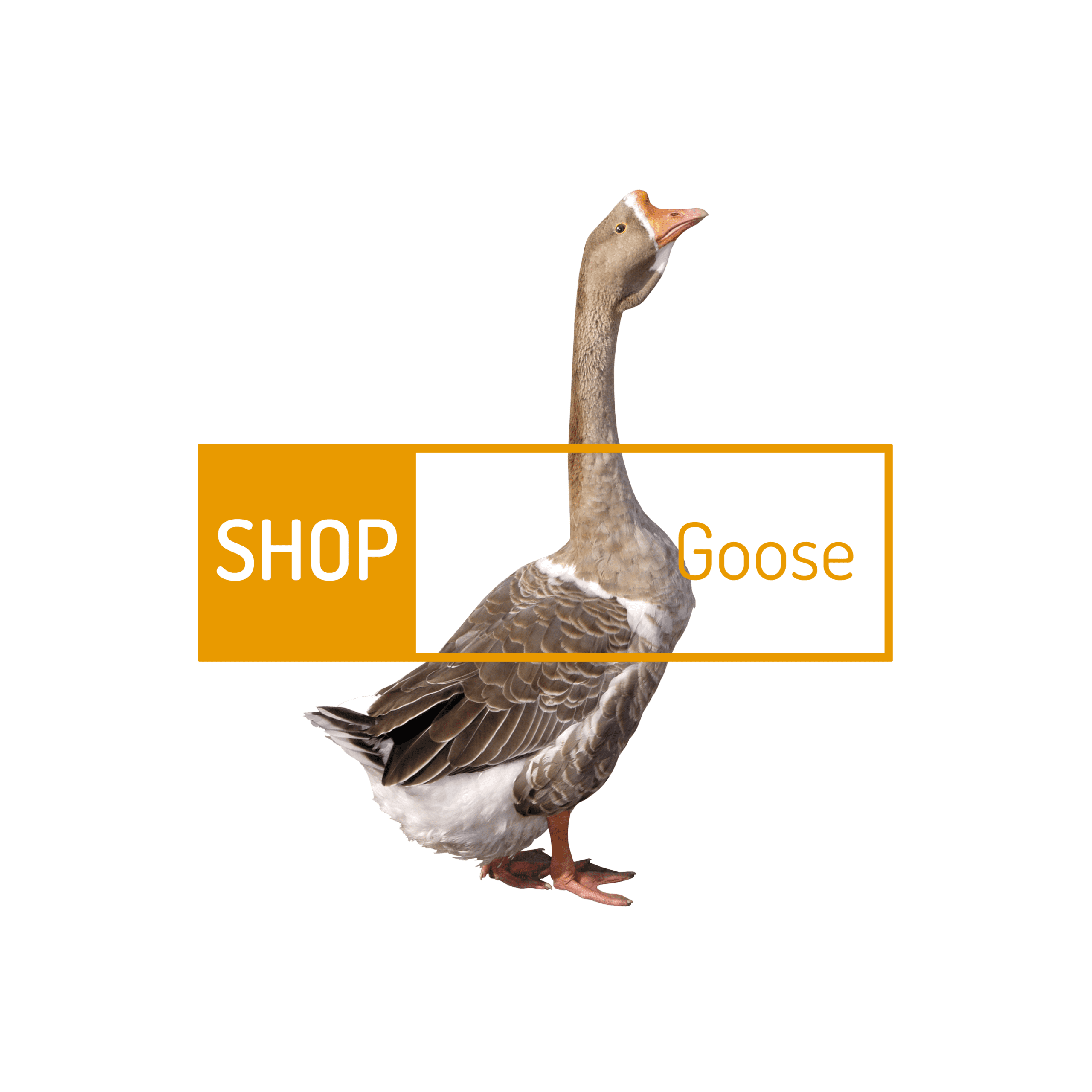 Visual Deterrents – Bird Barrier