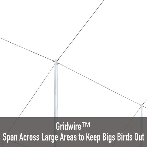 Mist Net Kits – Bird Barrier