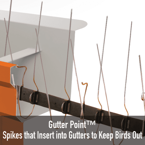 ABOUT US – Bird Barrier