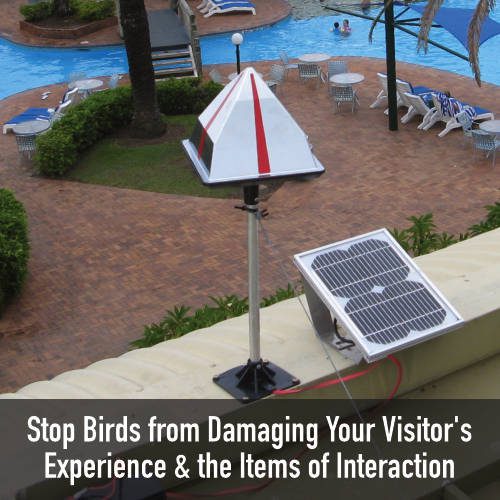 Bird Spikes – Bird Barrier