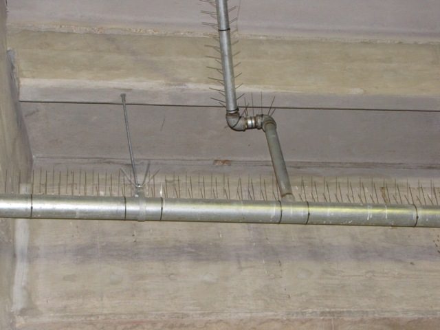 Shop By Problem – Parking Structures – Bird Barrier