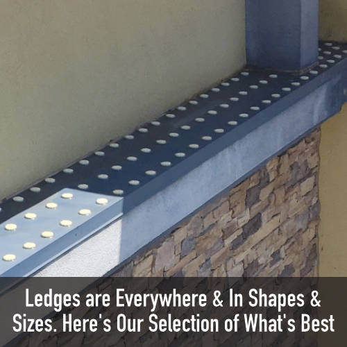 Raven Control – Bird Barrier