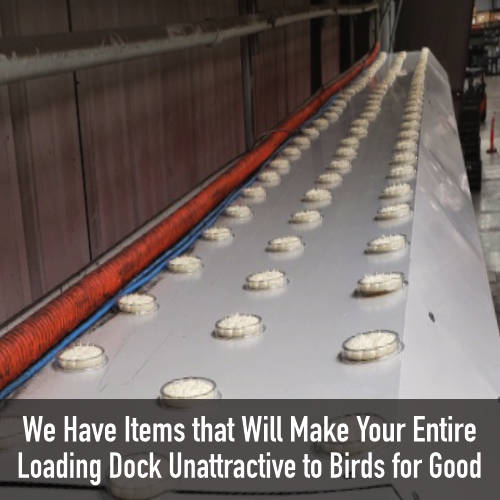 Bird Barrier – Bird Control Products for Pigeons, Woodpeckers & More