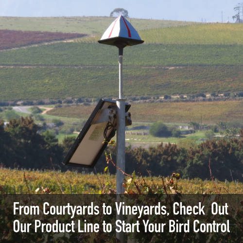 Birdwire® – Bird Barrier