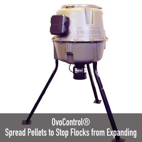 Raven Control – Bird Barrier