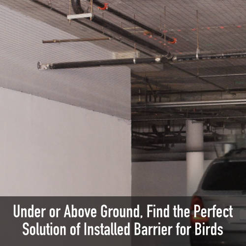 Bird Barrier – Bird Control Products for Pigeons, Woodpeckers & More
