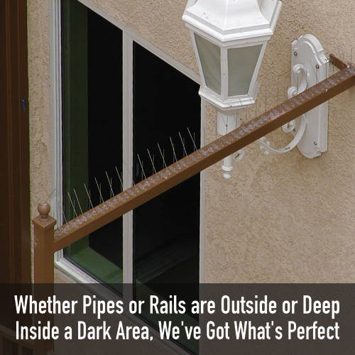 Raven Control – Bird Barrier