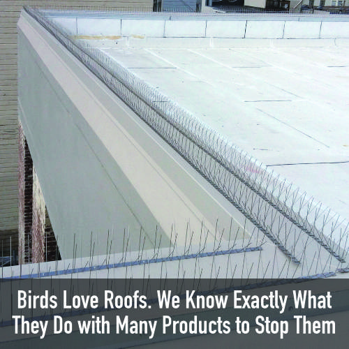 Optical Gel™ – Bird Barrier