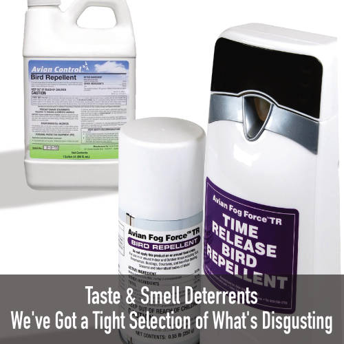 Birdwire® – Bird Barrier