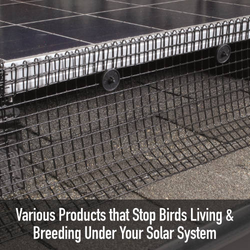 Bird Barrier – Bird Control Products for Pigeons, Woodpeckers & More