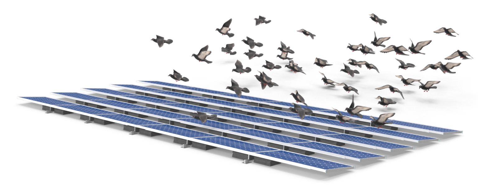 Shop By Problem – Solar Panels – Bird Barrier