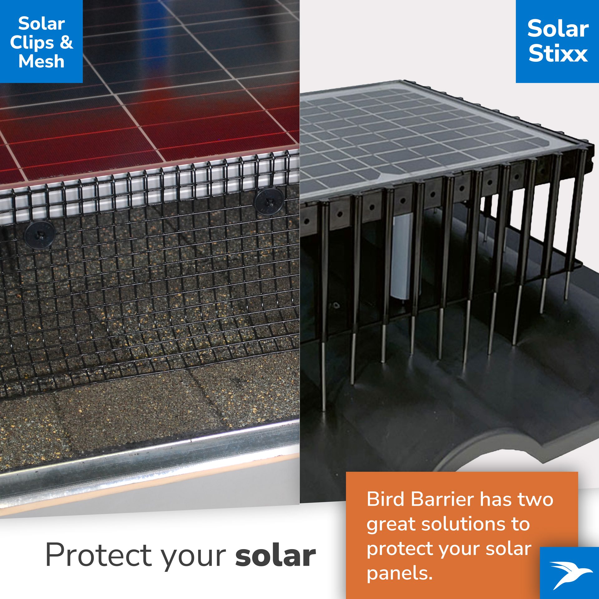 Solar Panel Protection – Bird Barrier