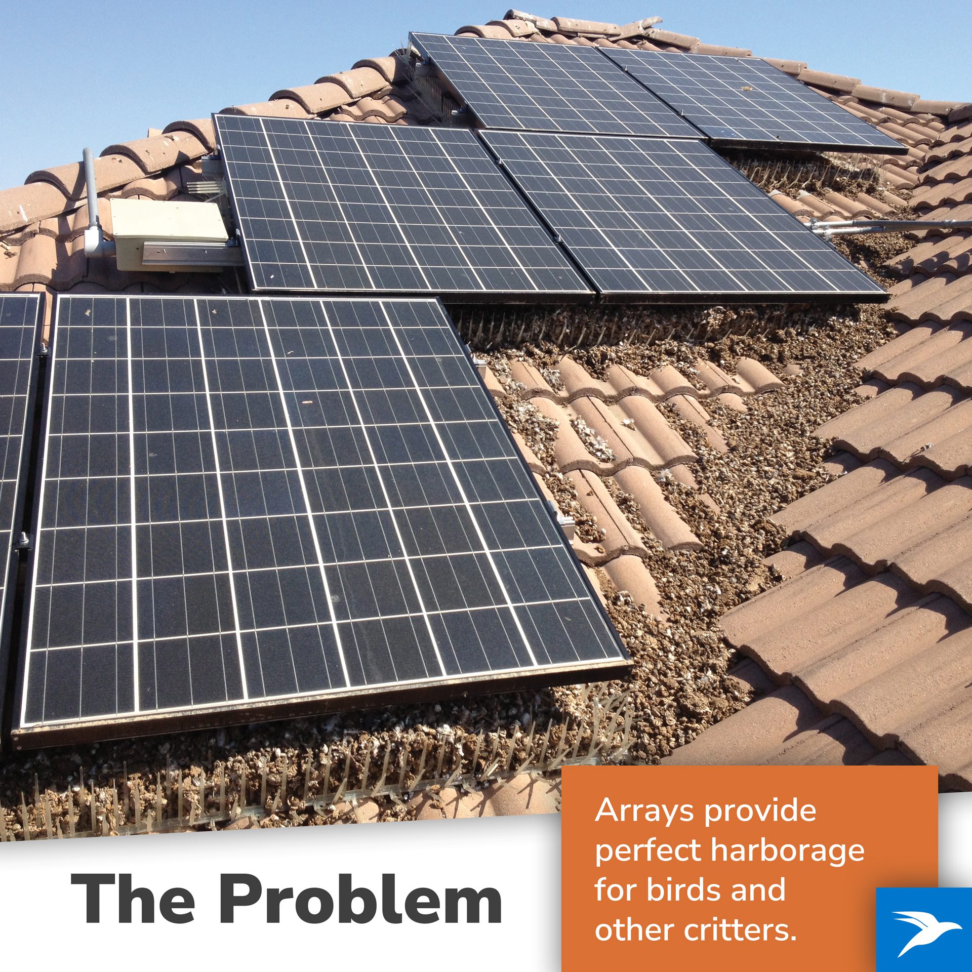 Solar Panel Protection – Bird Barrier