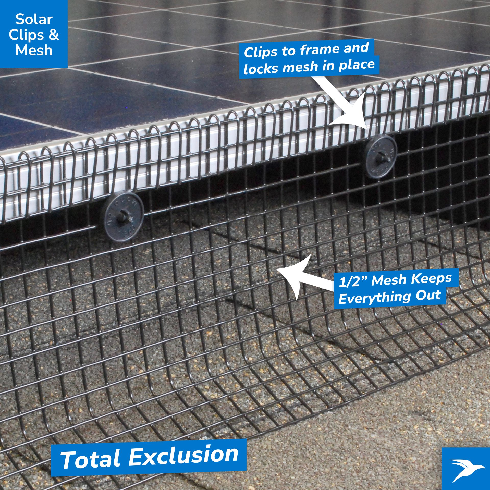 Solar Panel Protection – Bird Barrier