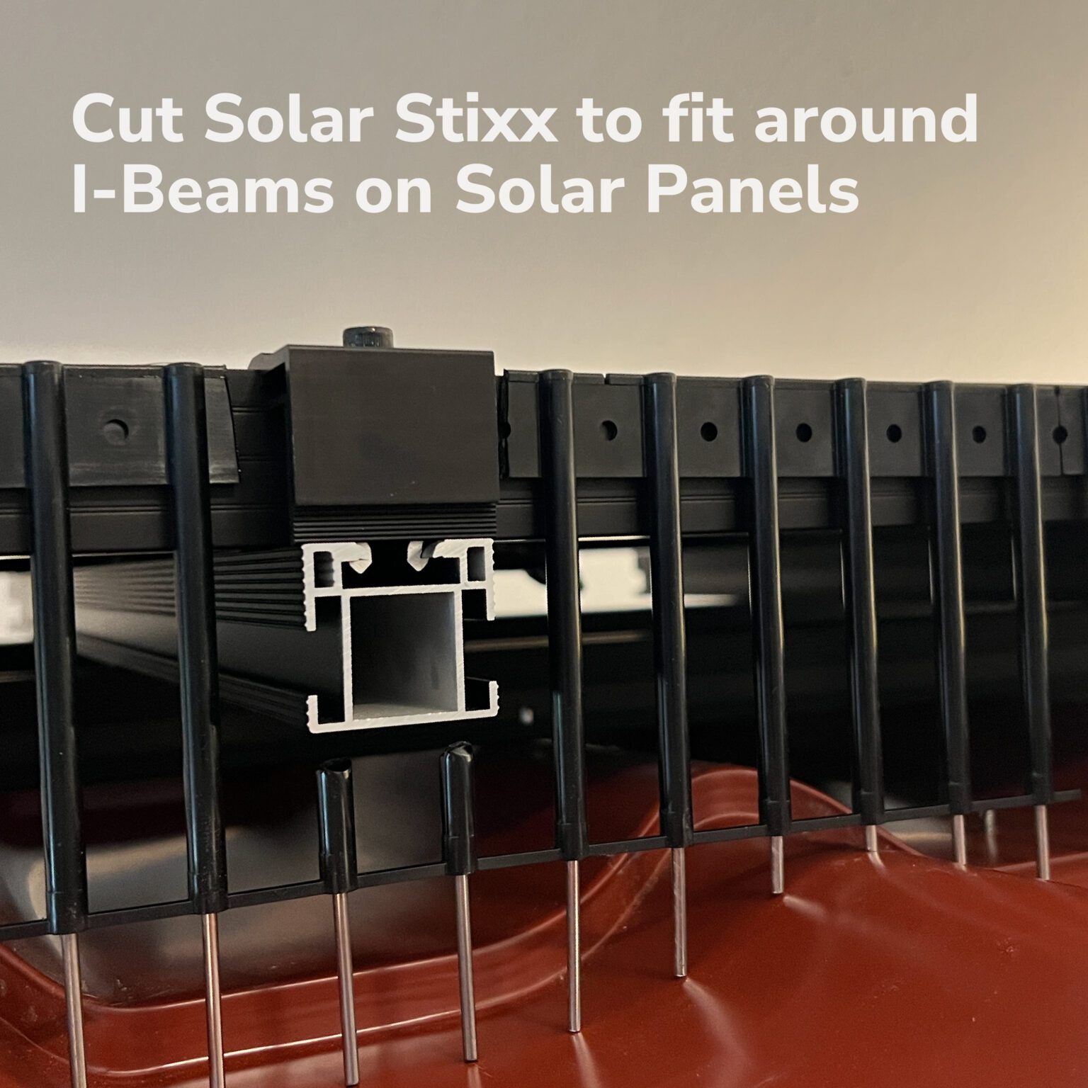 Solar Stixx – Bird Barrier