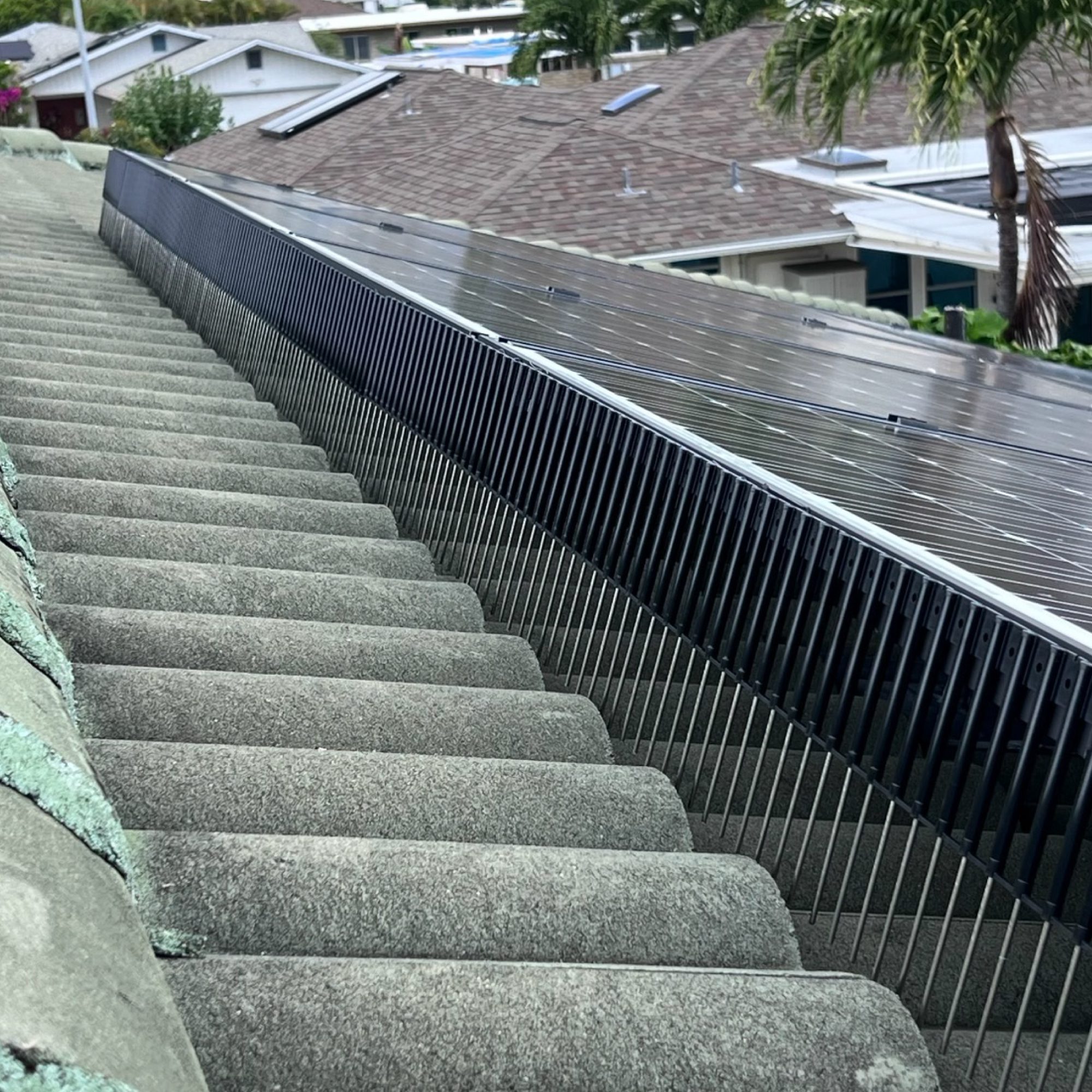 Solar Panel Protection – Bird Barrier