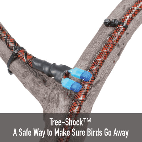 Eagle Eye® Reflective Bird Deterrent – Bird Barrier