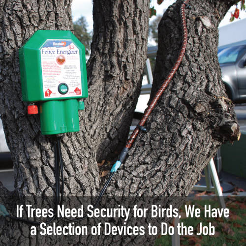 Mist Net Kits – Bird Barrier