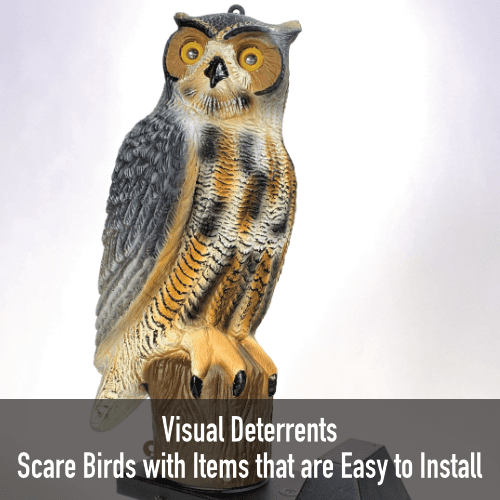 Solar Panel Protection – Bird Barrier