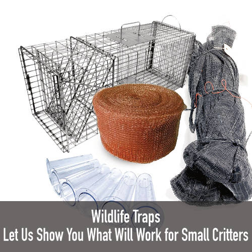 Birdwire® – Bird Barrier