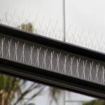 Bird Barrier – Bird Control Products for Pigeons, Woodpeckers & More