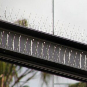 Bird Barrier – Bird Control Products for Pigeons, Woodpeckers & More