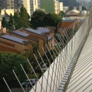 Bird Barrier – Bird Control Products for Pigeons, Woodpeckers & More