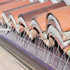 Bird Barrier – Bird Control Products for Pigeons, Woodpeckers & More