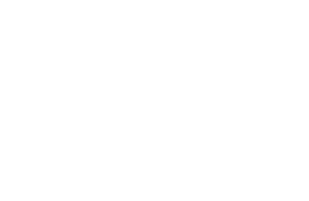 Bird Spikes – Bird Barrier