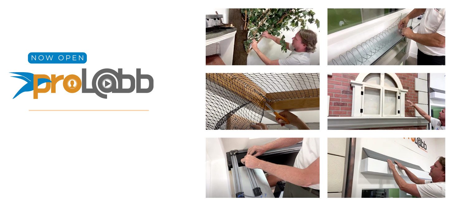 Optical Gel™ » Bird Barrier